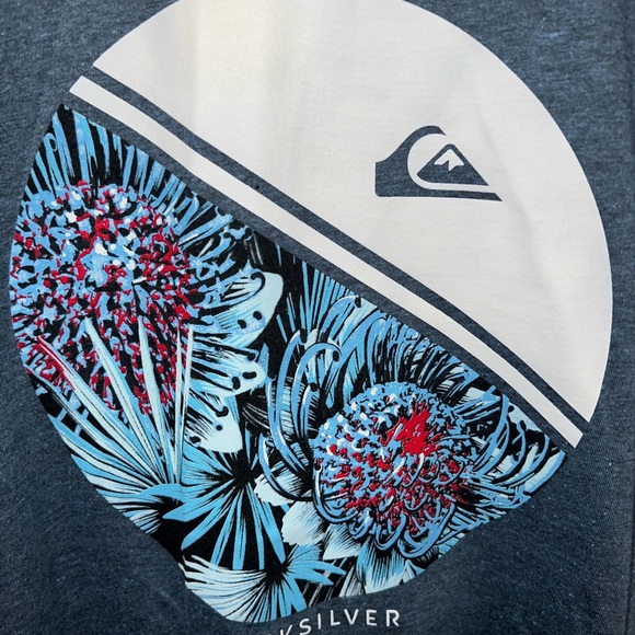 Quiksilver | Shirts | Mens Quicksilver Tshirt | Poshmark